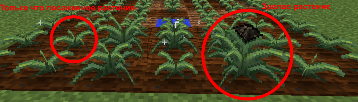 гайд на Magical Crops - Общие гайды - Next-Mine